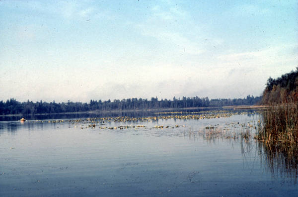 LAKE TERRELL – Discover Whatcom County in 365 Days | Jerry Blankers